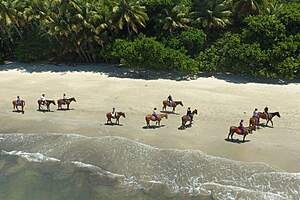 Cape Tribulation Horse Rides - Destination Daintree