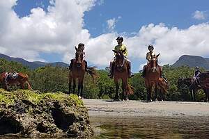Cape Tribulation Horse Rides - Destination Daintree