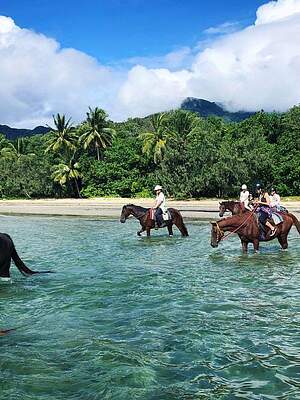 Cape Tribulation Horse Rides - Destination Daintree