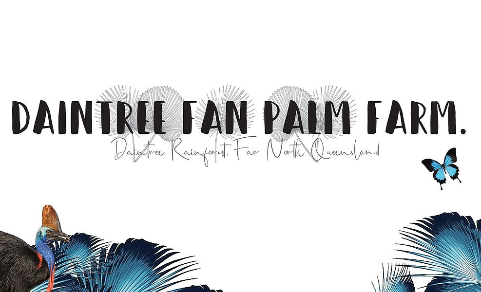 Daintree Fan Palm Farm - Destination Daintree