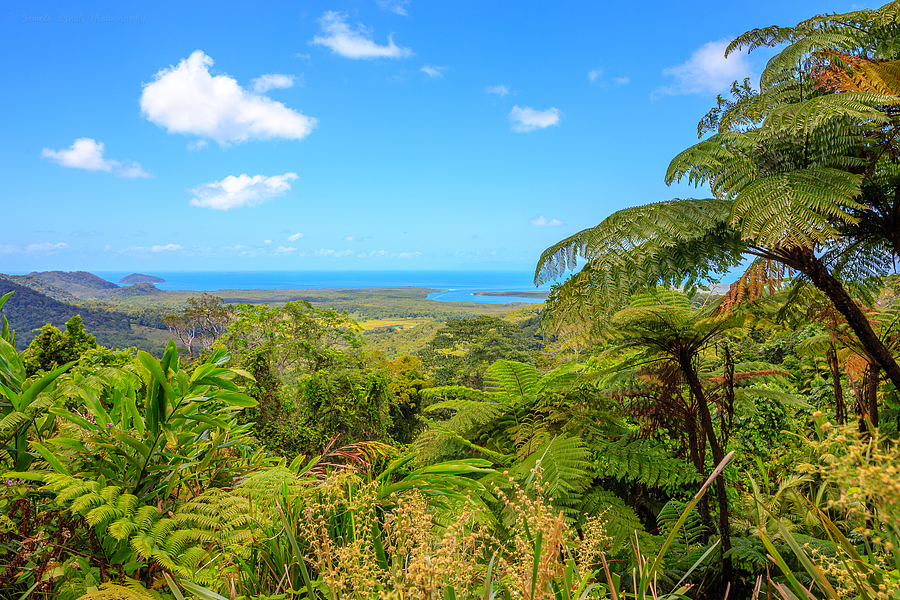 Destination Daintree Visitors Guide - Daintree Accommodation, Tours and ...