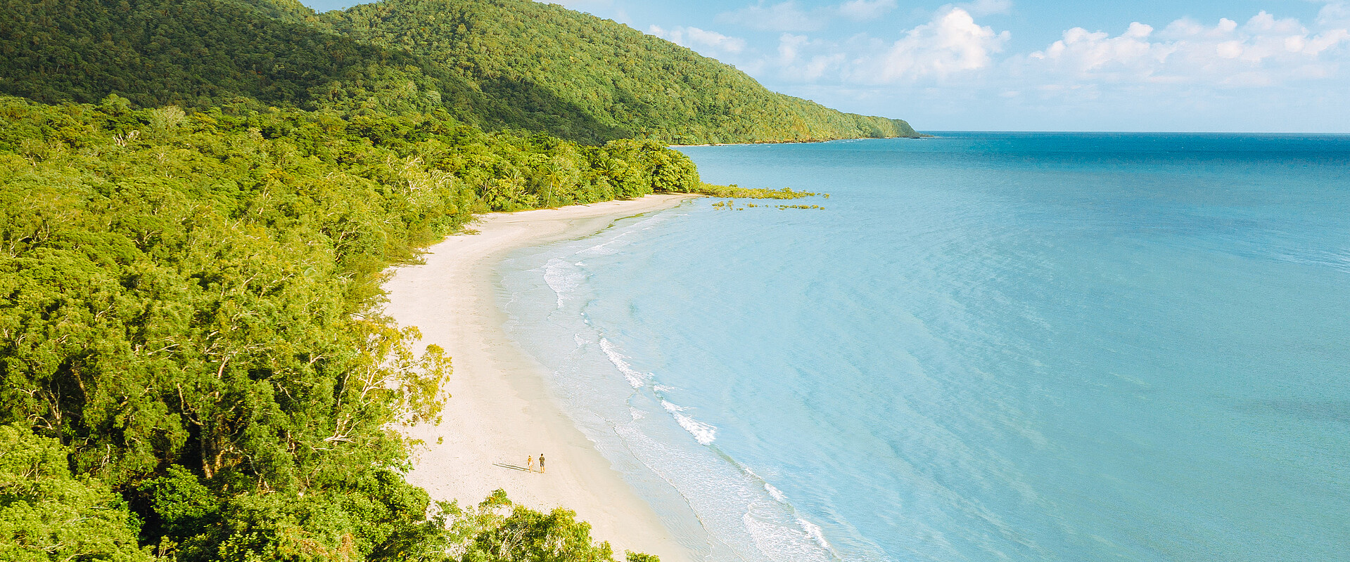 Destination Daintree Visitors Guide - Daintree Accommodation, Tours and ...