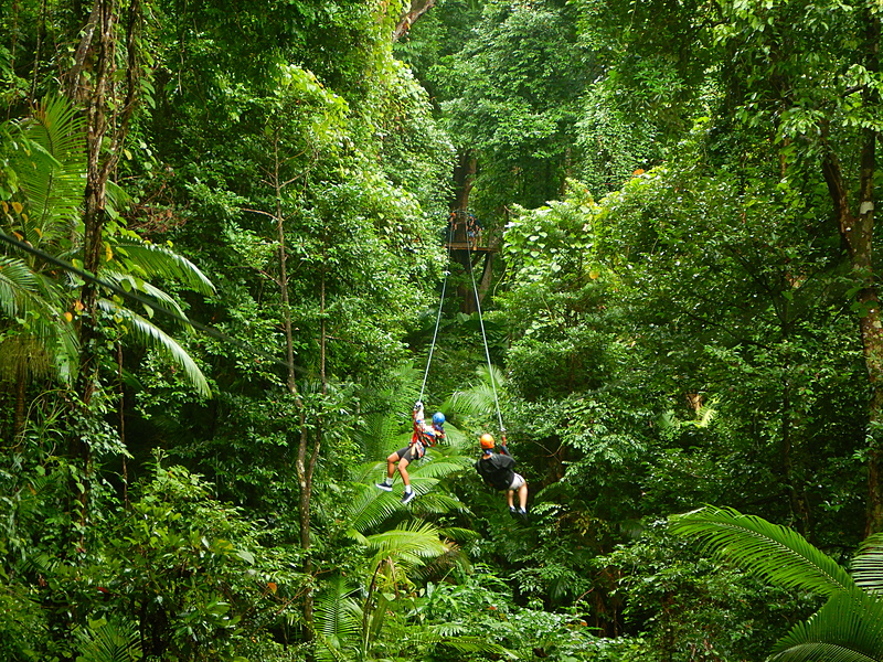 Reef Unlimited - Destination Daintree