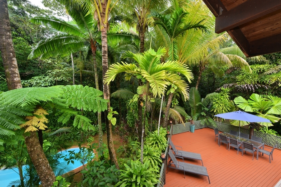 Wait A While Daintree - Destination Daintree