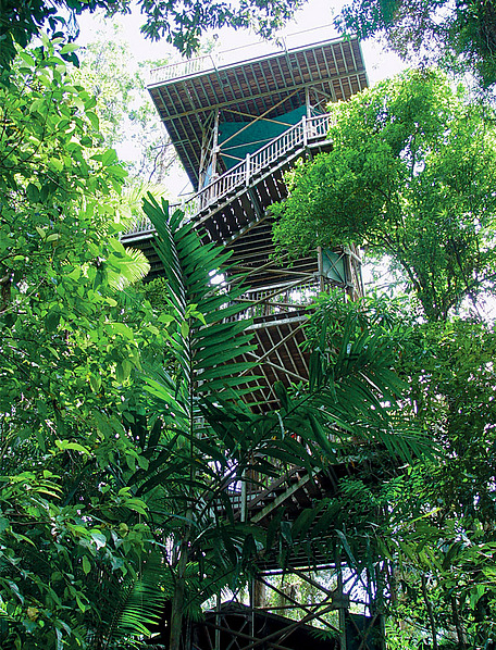 Daintree Discovery Centre - Destination Daintree